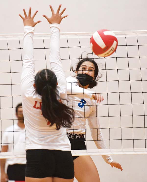 Bears secure state berth with sweep of short-handed Lunas | News ...